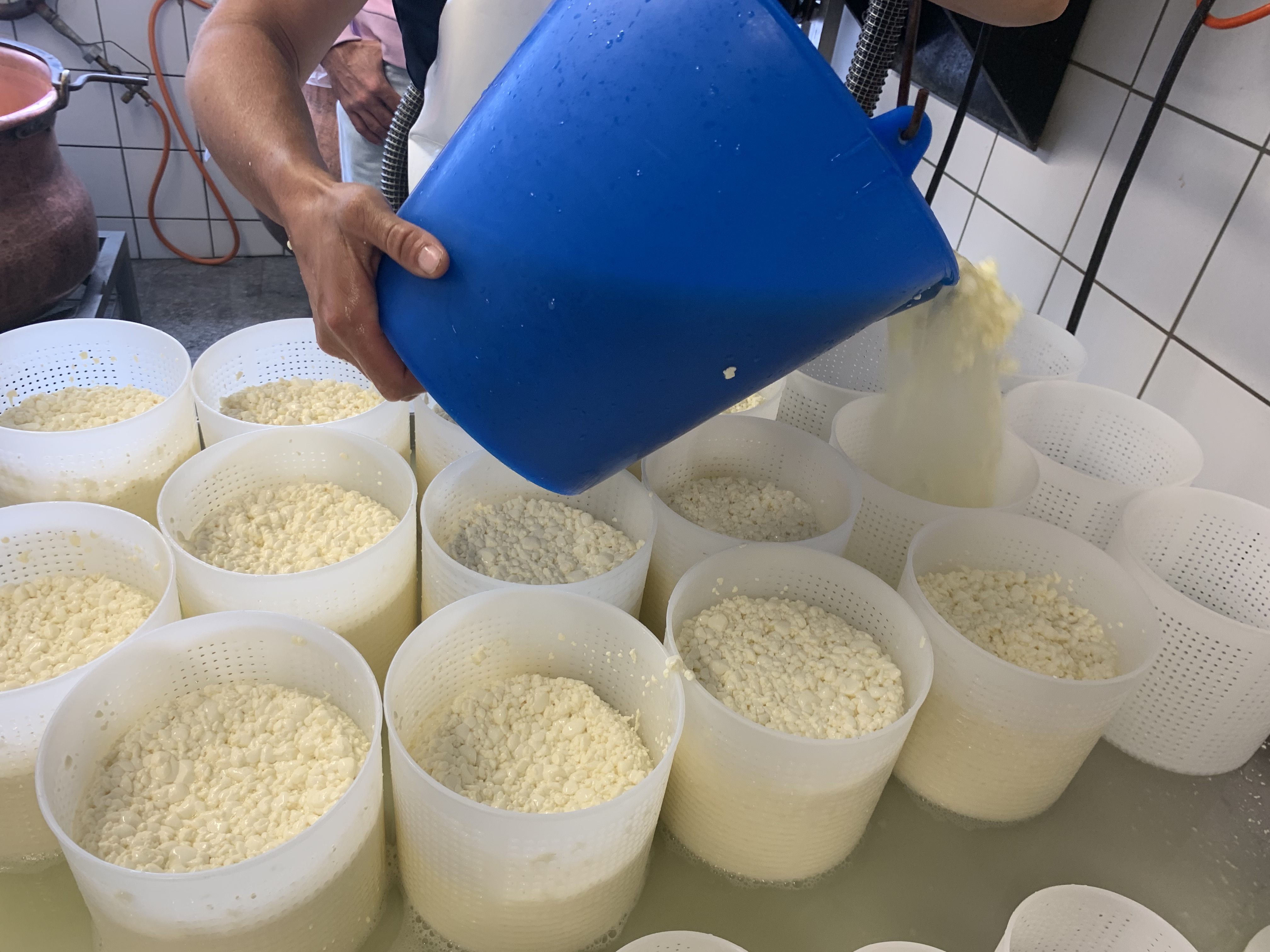 Come and make your own 'tomme' cheese ! - Veysonnaz - Guidle