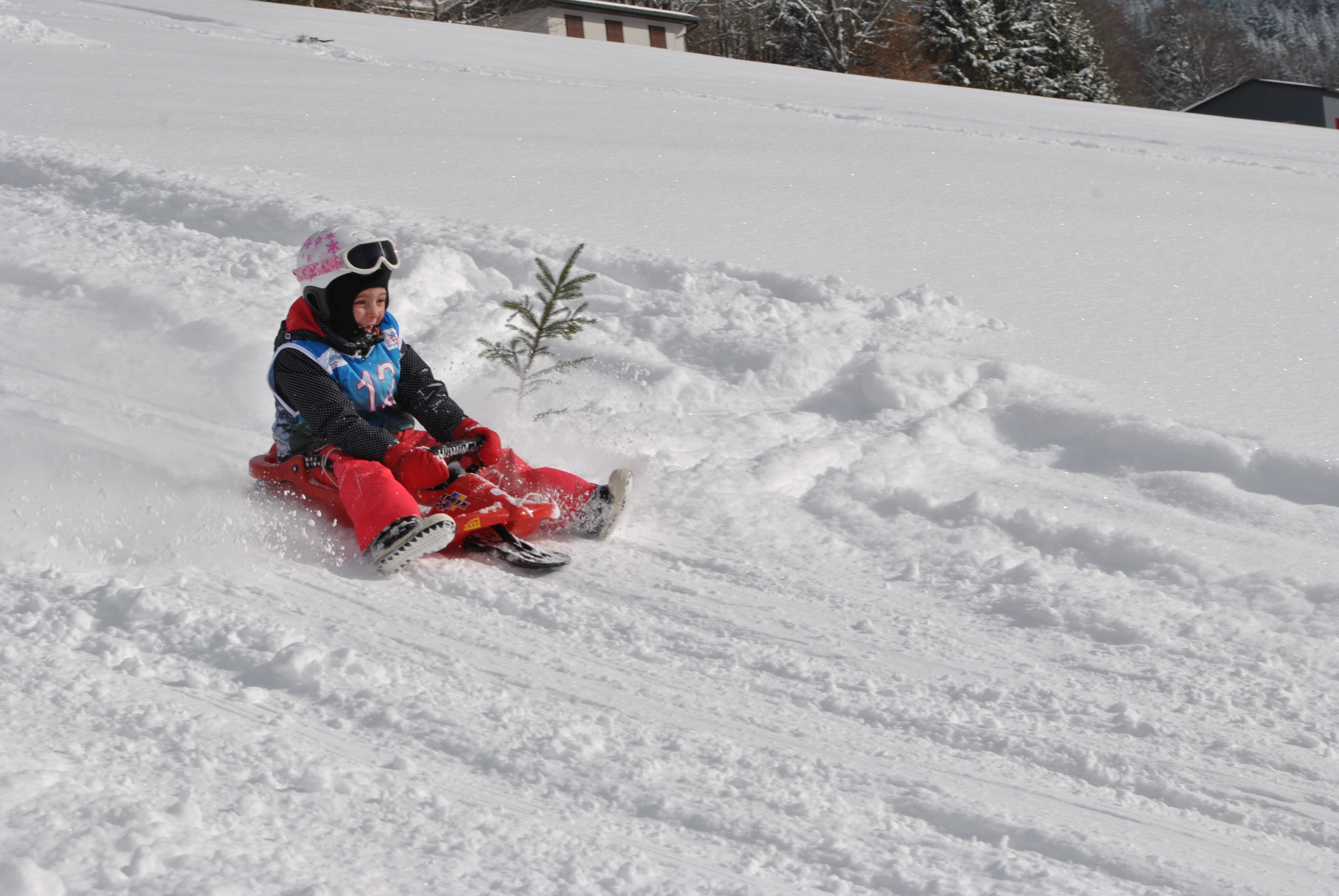 Course de luge et de bob