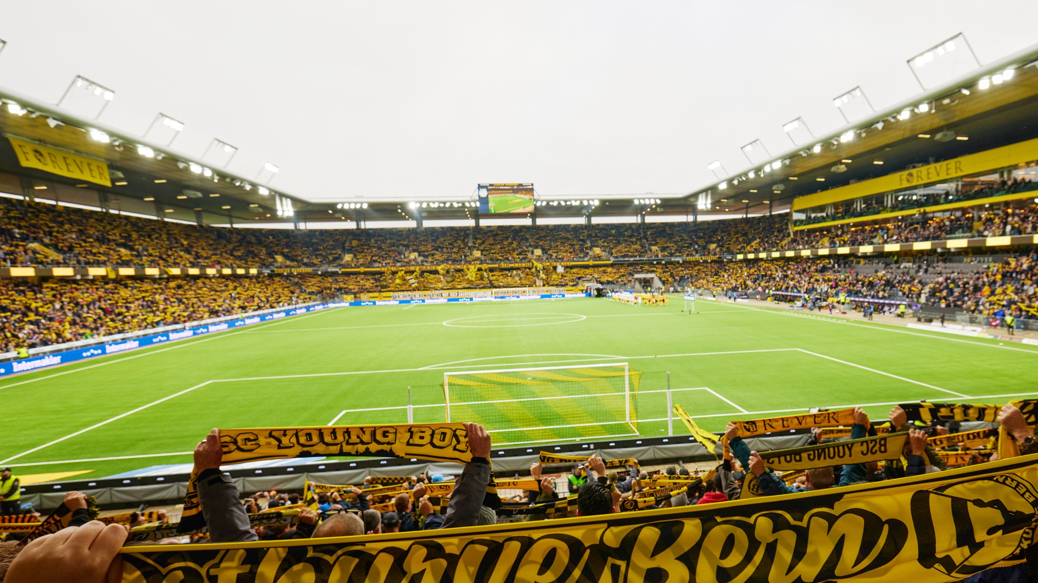BSC Young Boys - FC Winterthur - Bern - Guidle