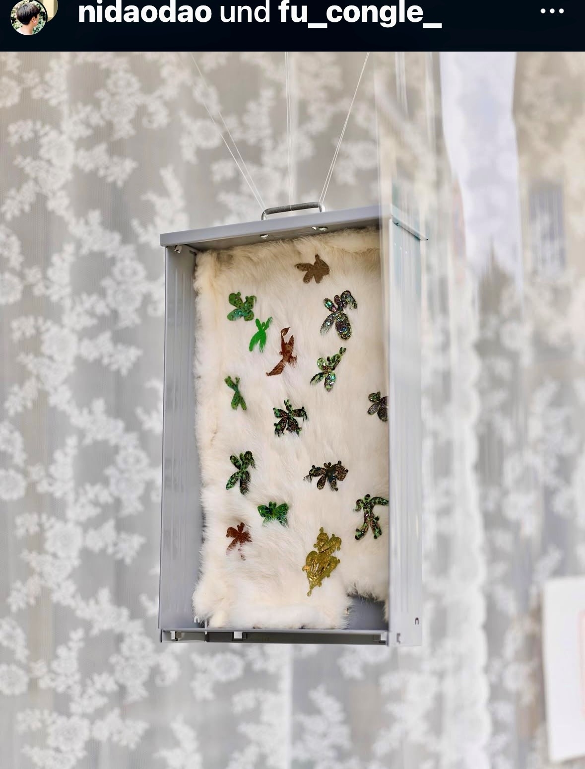 在雪与兔之间 BETWEEN SNOW AND RABBITS - Uster - My Farm