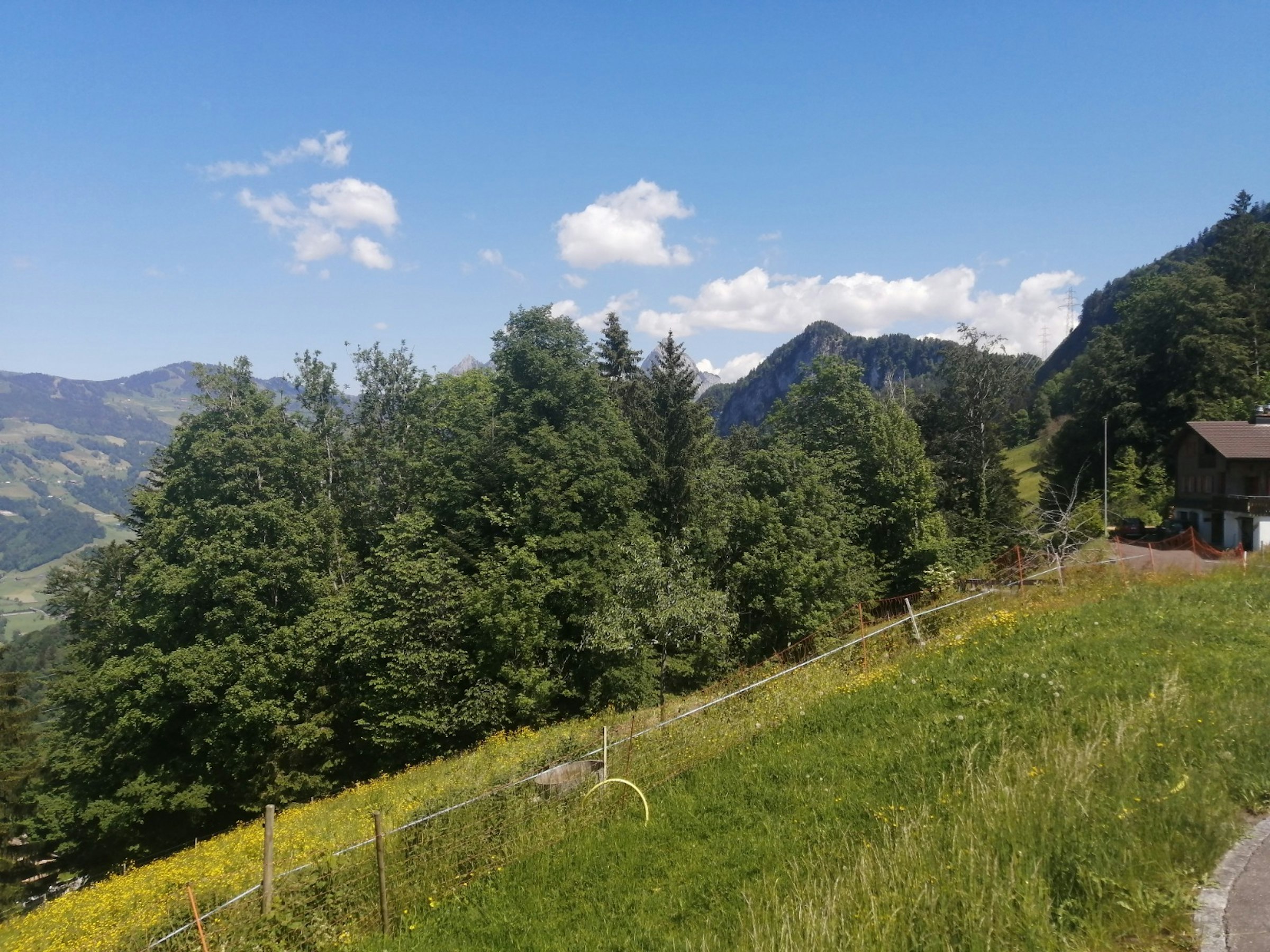 Panorama Seesicht - Lauerz - My Farm