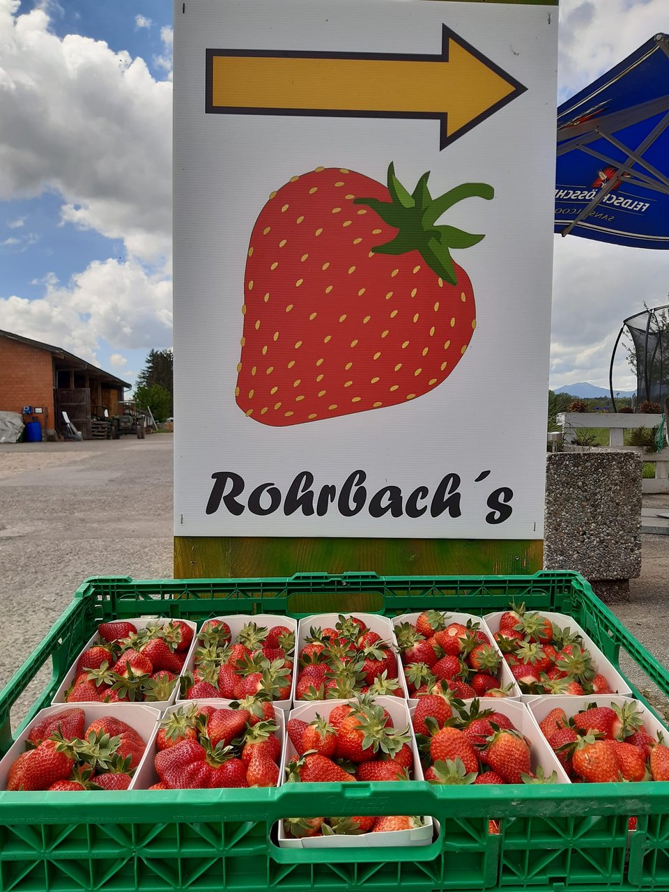 Hofladen Rohrbach's Hof Aarwangen - Aarwangen - My Farm