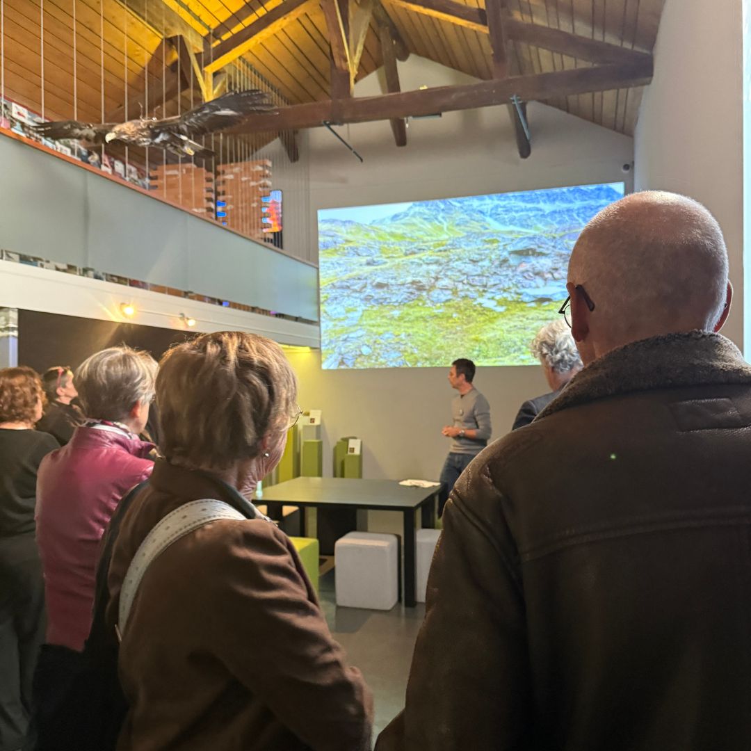En février « J’peux pas, j’ai musée ! » : la visite guidée - Sion - Guidle