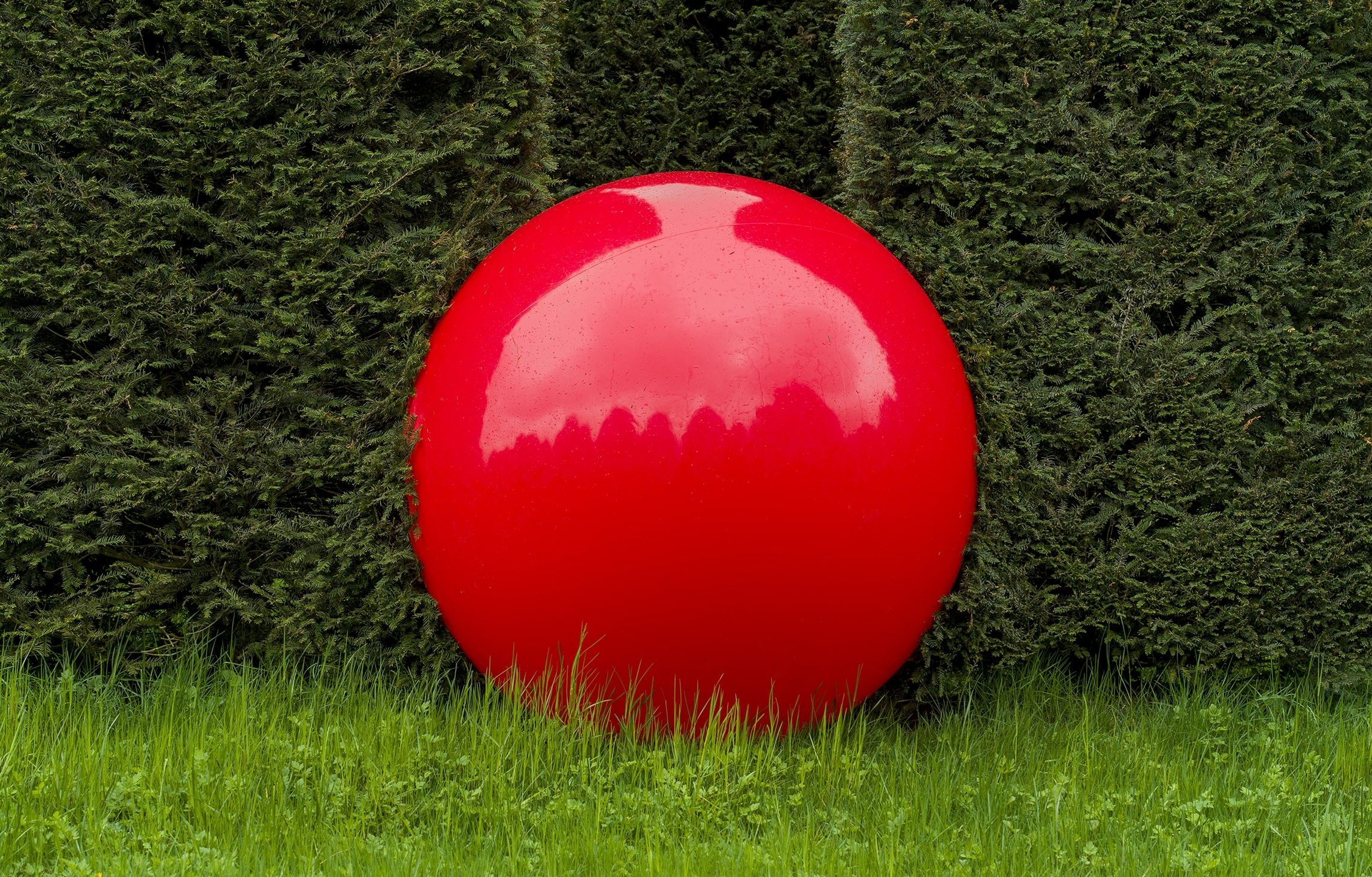 Making art with Andrin Winteler! - Schaffhausen - My Farm