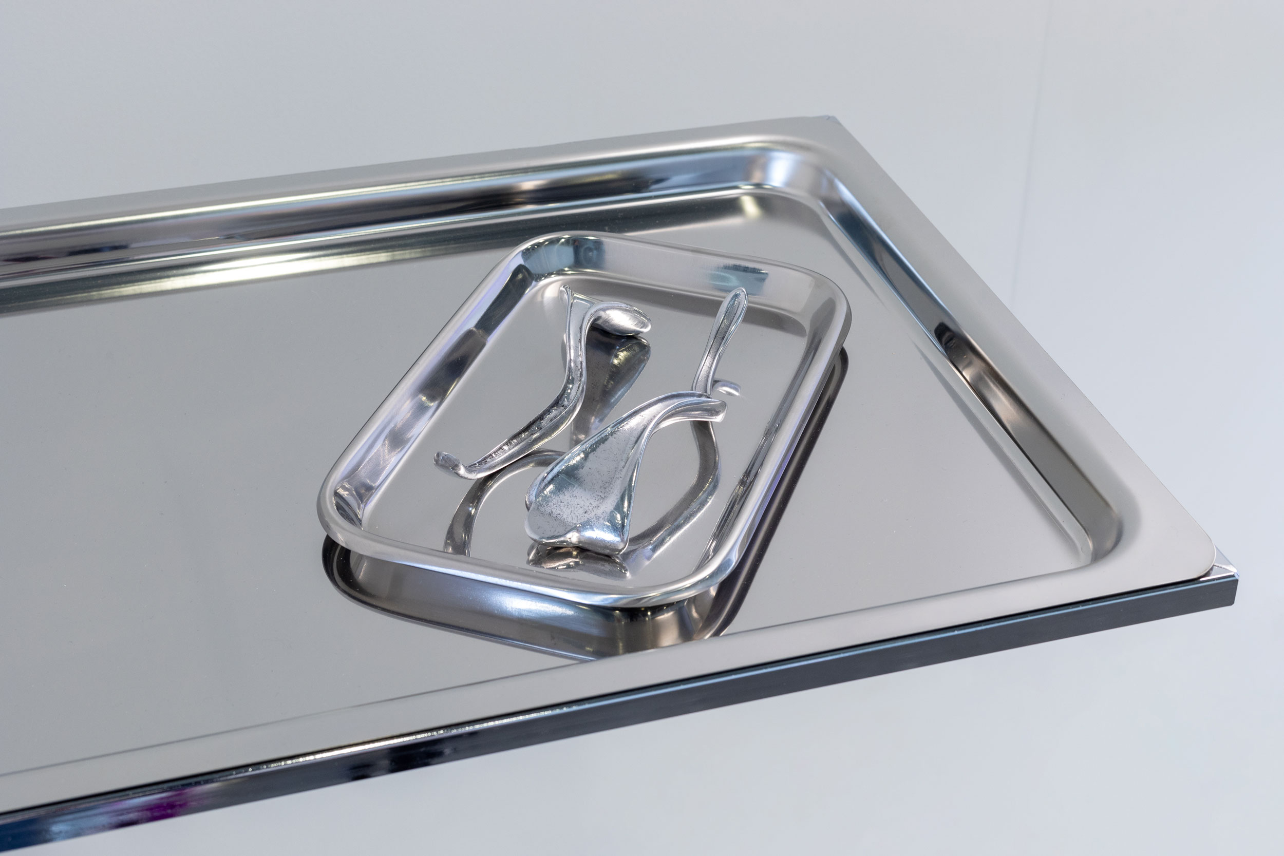 Anita Muçolli - Biel / Bienne - My Farm