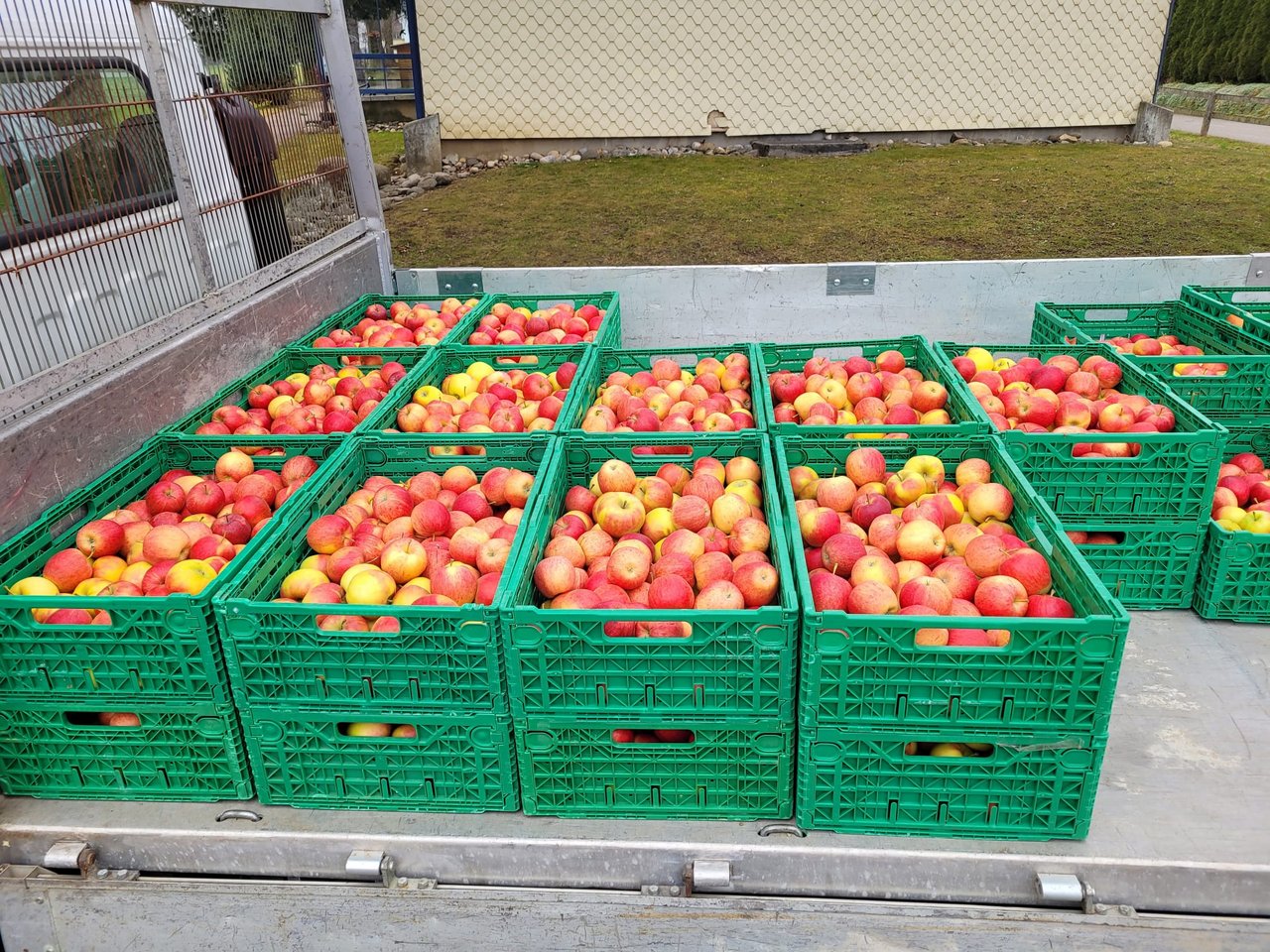 Früchte-Abo - Gossau SG - My Farm