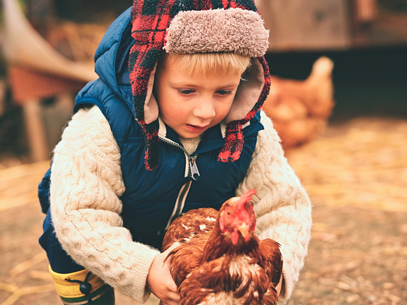 "Plai a mi" Programm: Bauernhoferlebnis in Brigels - Breil / Brigels ...