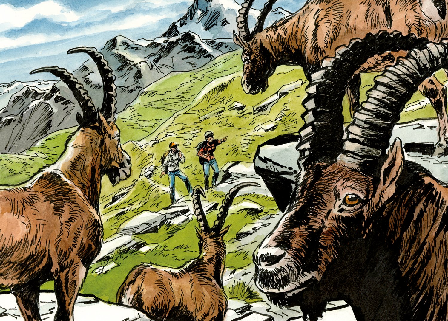 DERIB - 60 YEARS OF DRAWING - La Tour-de-Peilz - Guidle