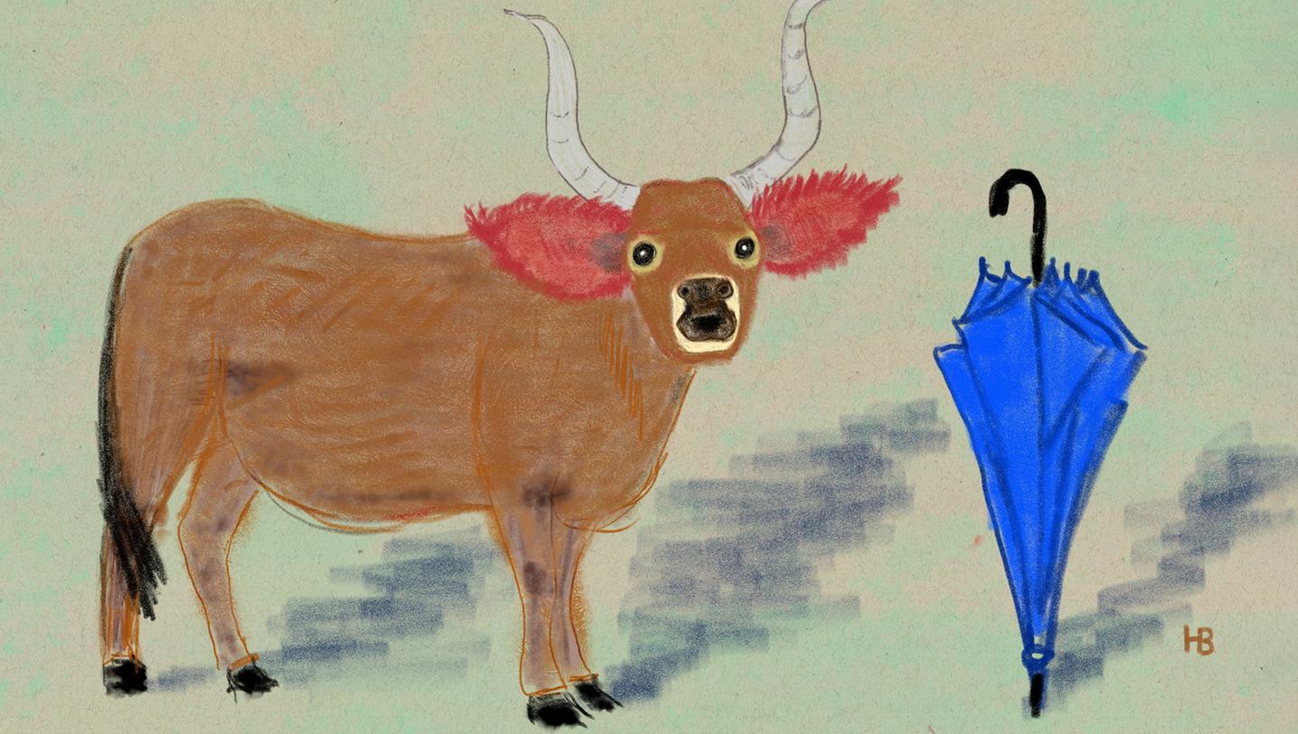 Baselland Tourismus EN | Samuel Herzog