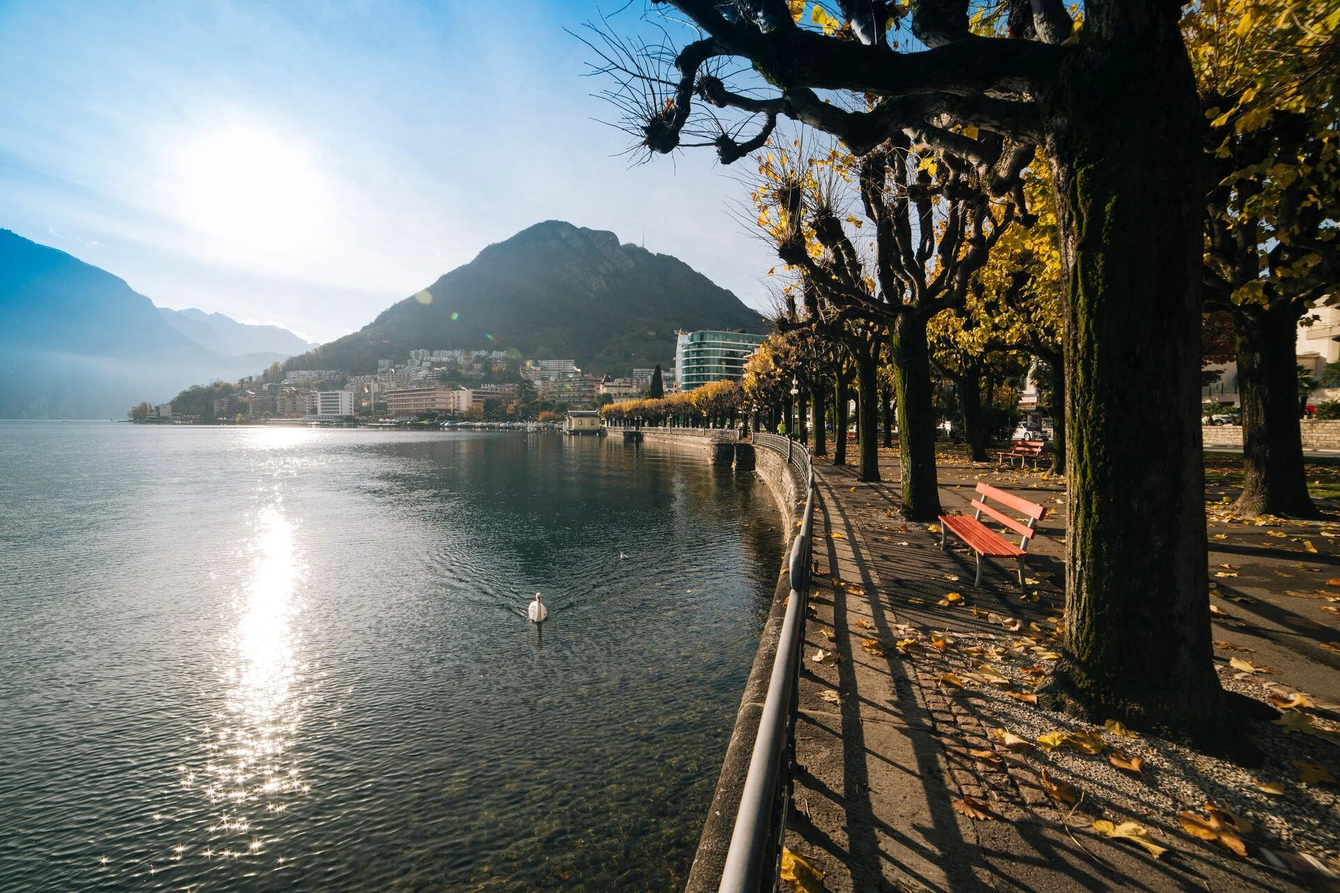 Autumn Vibes – Guided City Tour (Free) - Lugano - Guidle