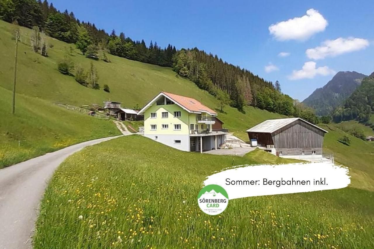 Rough moss - Hof - Flühli LU - My Switzerland