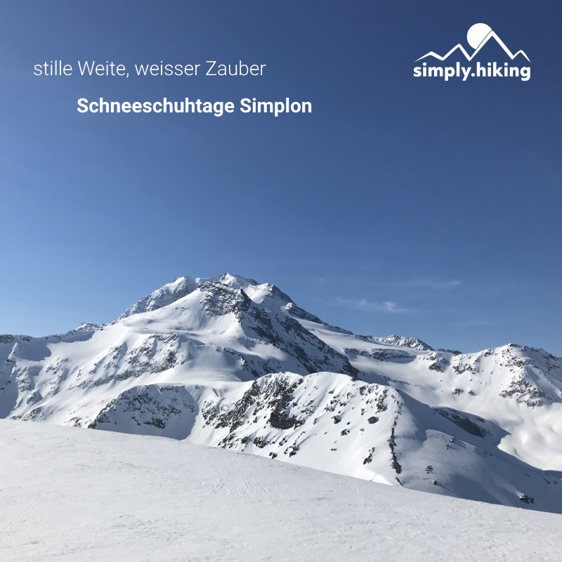 Silent expanse, white magic - Simplon snowshoe days - Simplon Dorf - Guidle